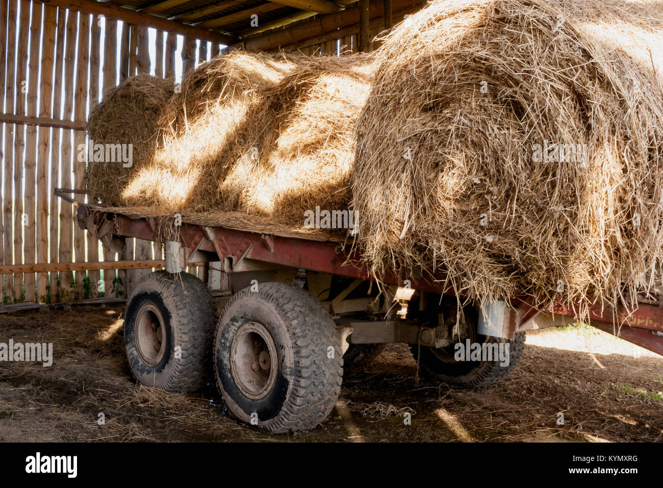 Feed cart hi-res stock photography and images - Alamy
