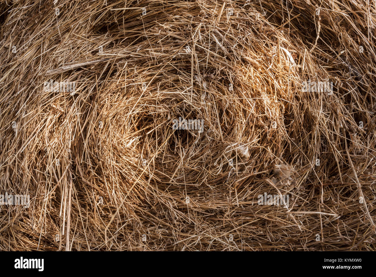 Natural background of sunlit round bale of hay Stock Photo - Alamy