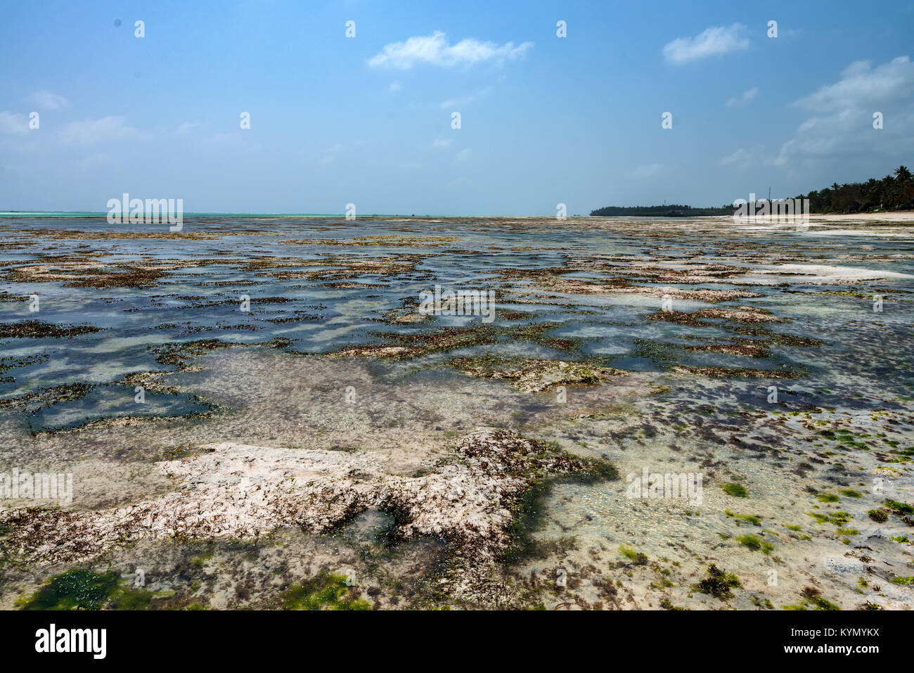 Low tide on tropical beach Stock Photo - Alamy