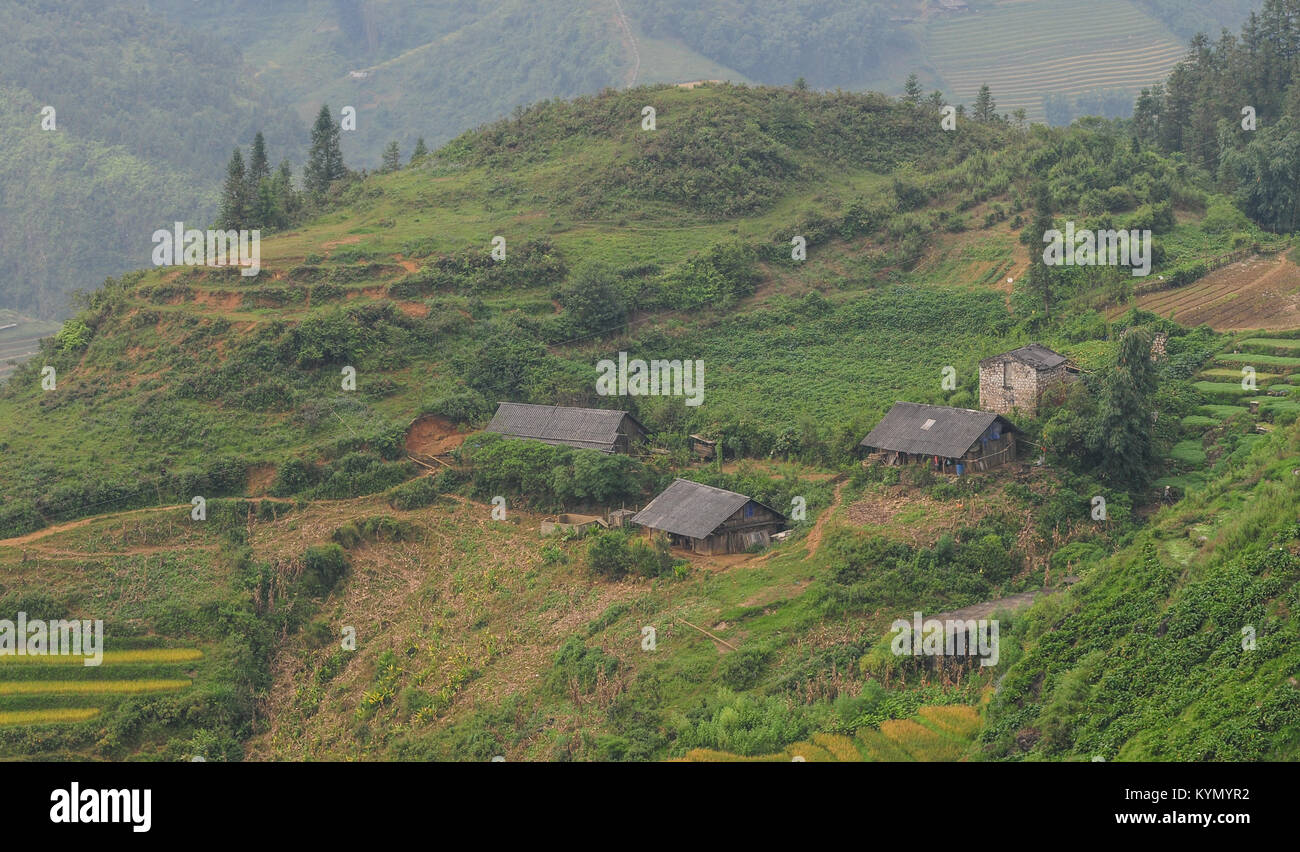 Hmong wooden houses on mountain in Sapa, Vietnam Stock Photo - Alamy