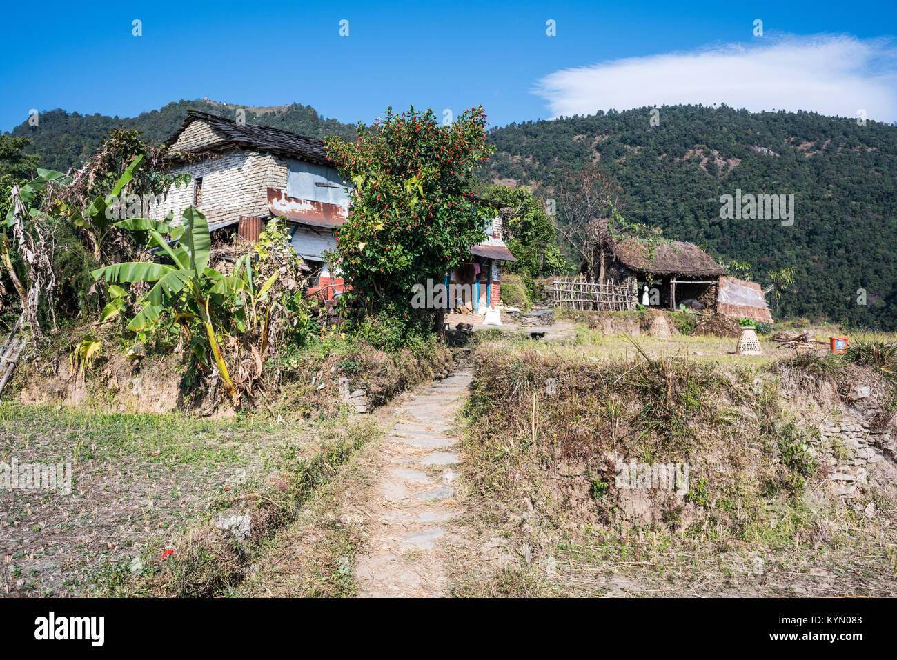 Village Dhampus, Nepal, Asia. annapurna base camp trek Stock Photo - Alamy