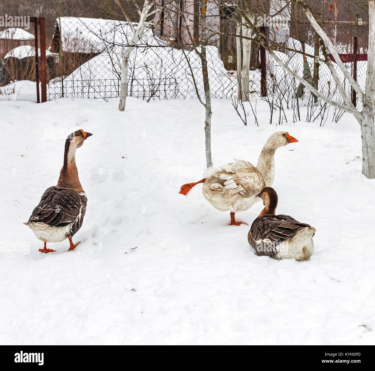 Grey cloudy and cool hi-res stock photography and images - Alamy