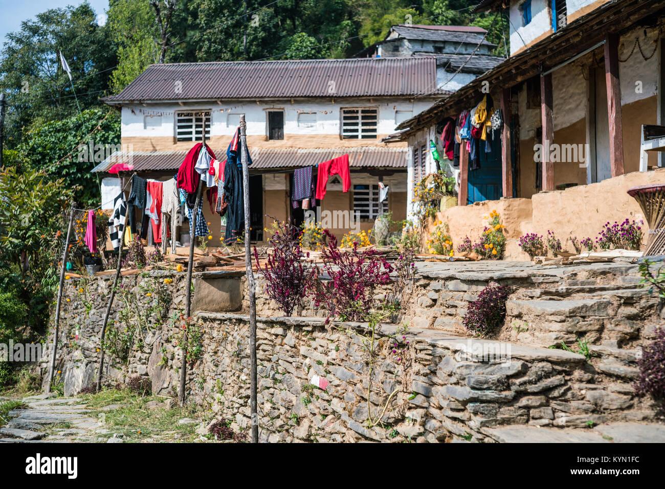 Village Dhampus, Nepal, Asia. annapurna base camp trek Stock Photo - Alamy