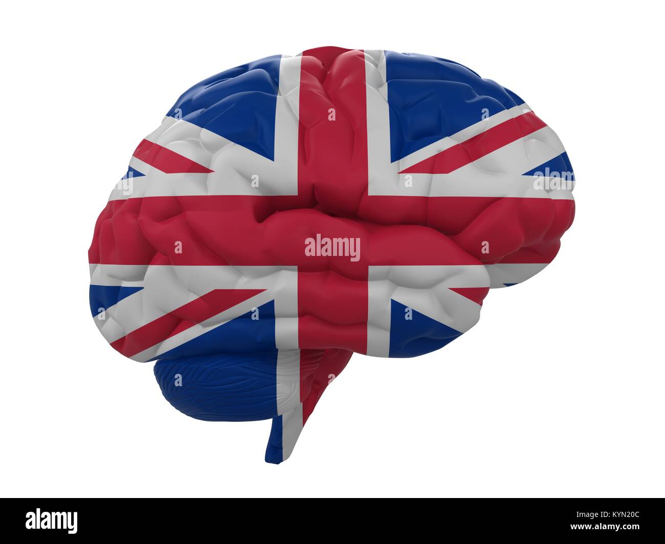 human brain is colored flag of United Kingdom. 3d rendering Stock Photo ...