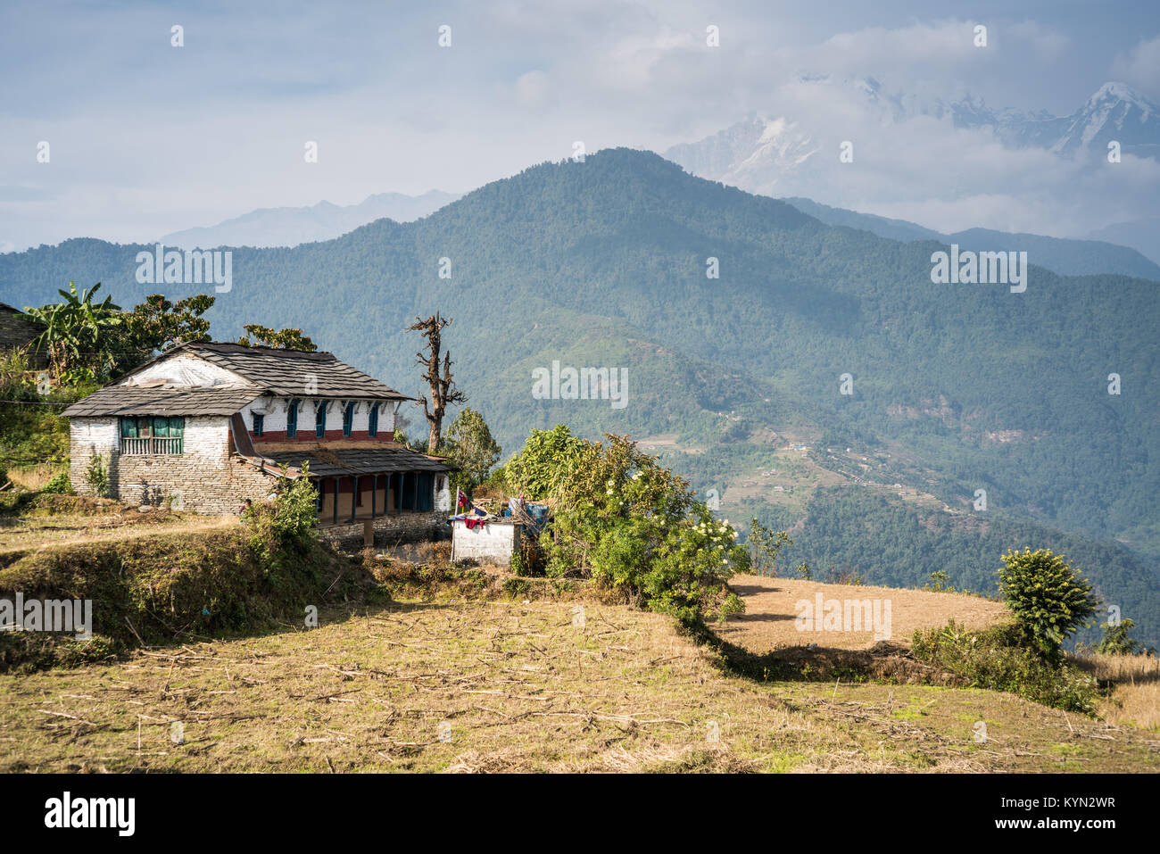 Village Dhampus, Nepal, Asia. annapurna base camp trek Stock Photo - Alamy