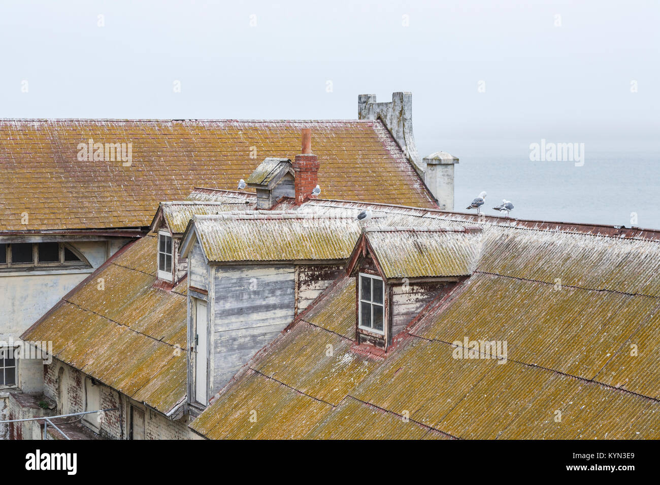 Corrugated iron roof and windows of the Military Dorm Guardhouse ...
