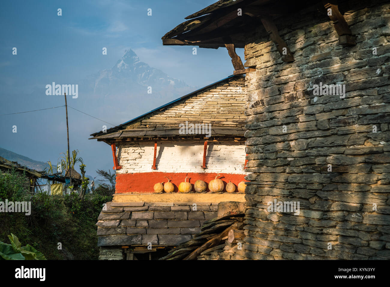Pumpkin on house roof hi-res stock photography and images - Alamy