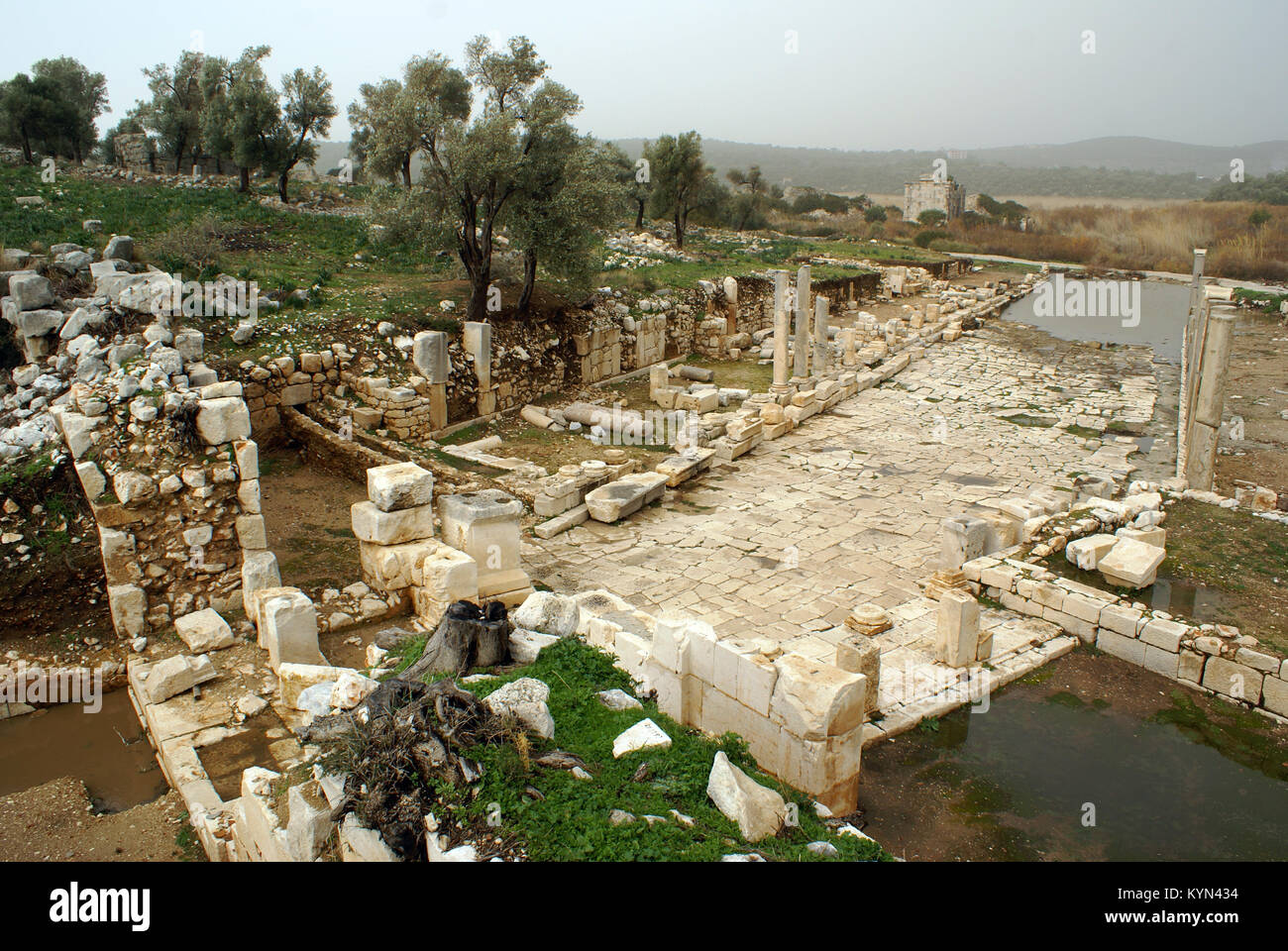 Colonnade street and ruins in Patara, Turkey Stock Photo - Alamy