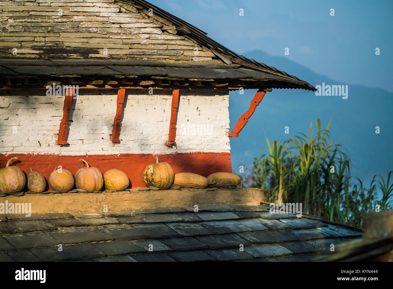 Pumpkin on house roof hi-res stock photography and images - Alamy