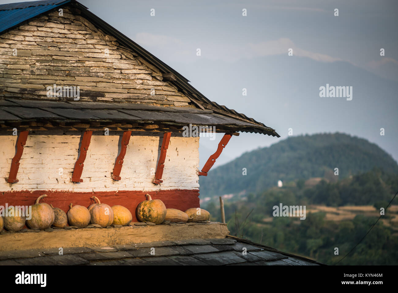 Pumpkin on house roof hi-res stock photography and images - Alamy