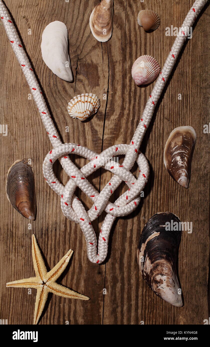 sea knot heart, seashell, love and marine adventure Stock Photo - Alamy