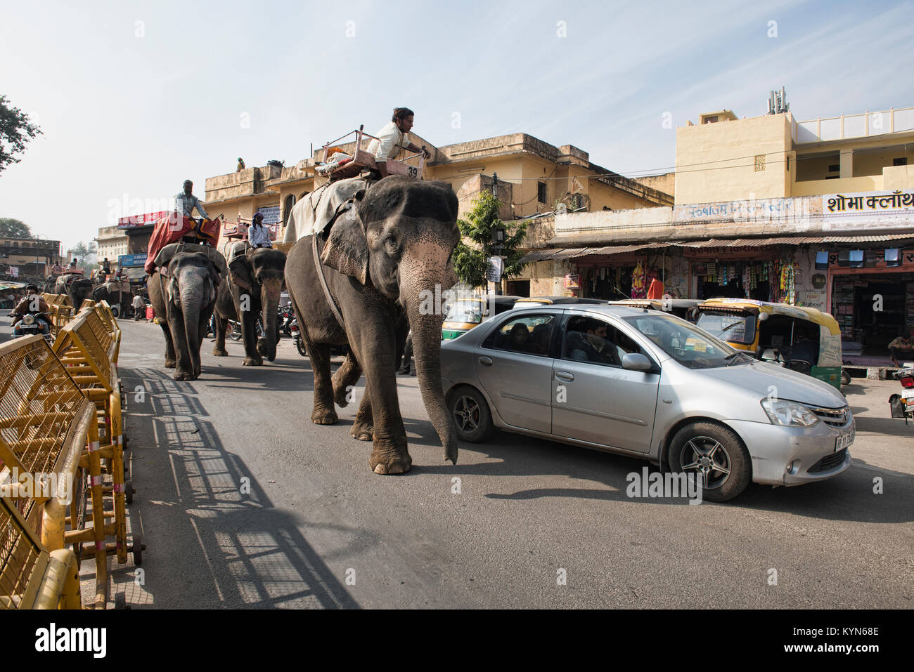 Elephant traffic jam at the Amer Fort, Jaipur, India Stock Photo - Alamy