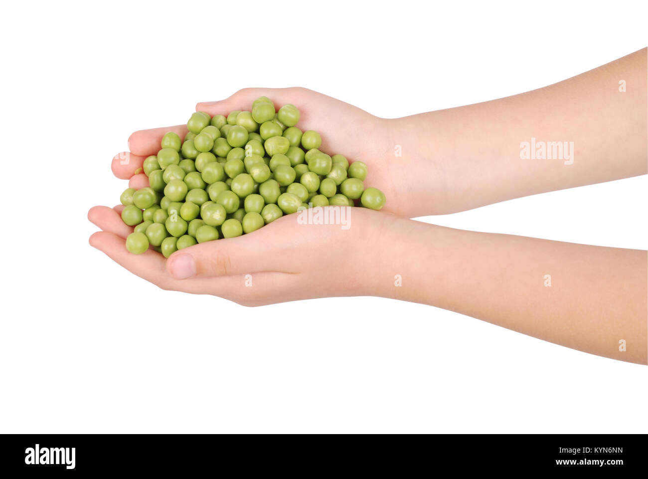 Hands holding green peas. Fresh green peas in the children's hands ...