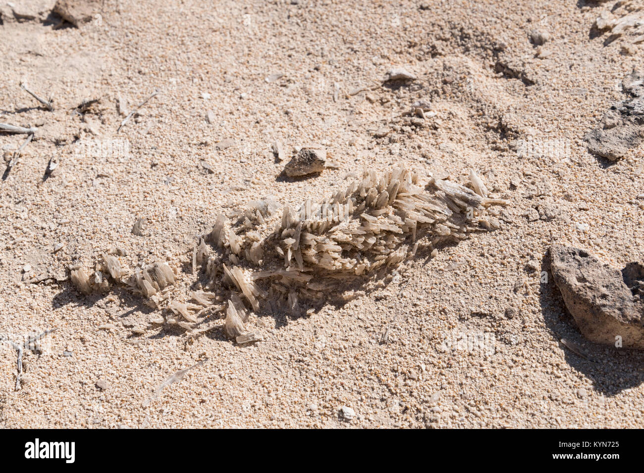 Calcified limestone rocks hi-res stock photography and images - Alamy