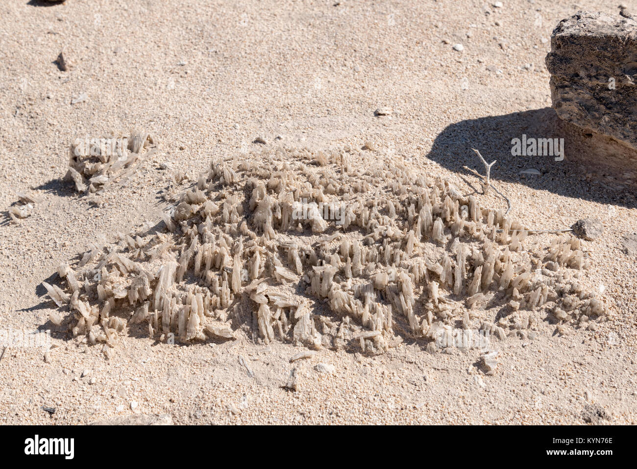 Calcified limestone formation hi-res stock photography and images - Alamy