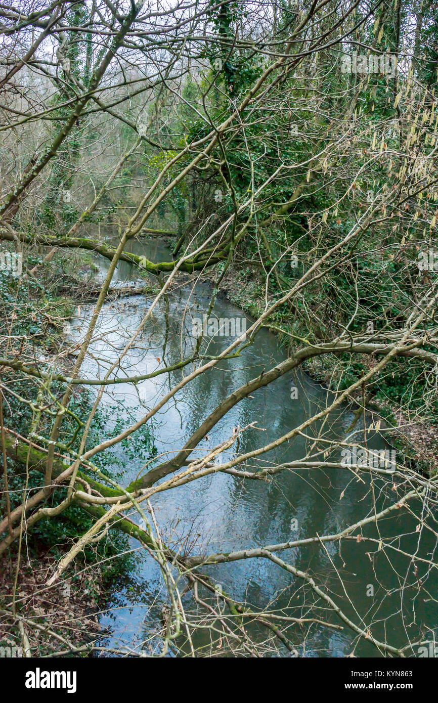 The Meon river in Hampshire, England, UK Stock Photo - Alamy