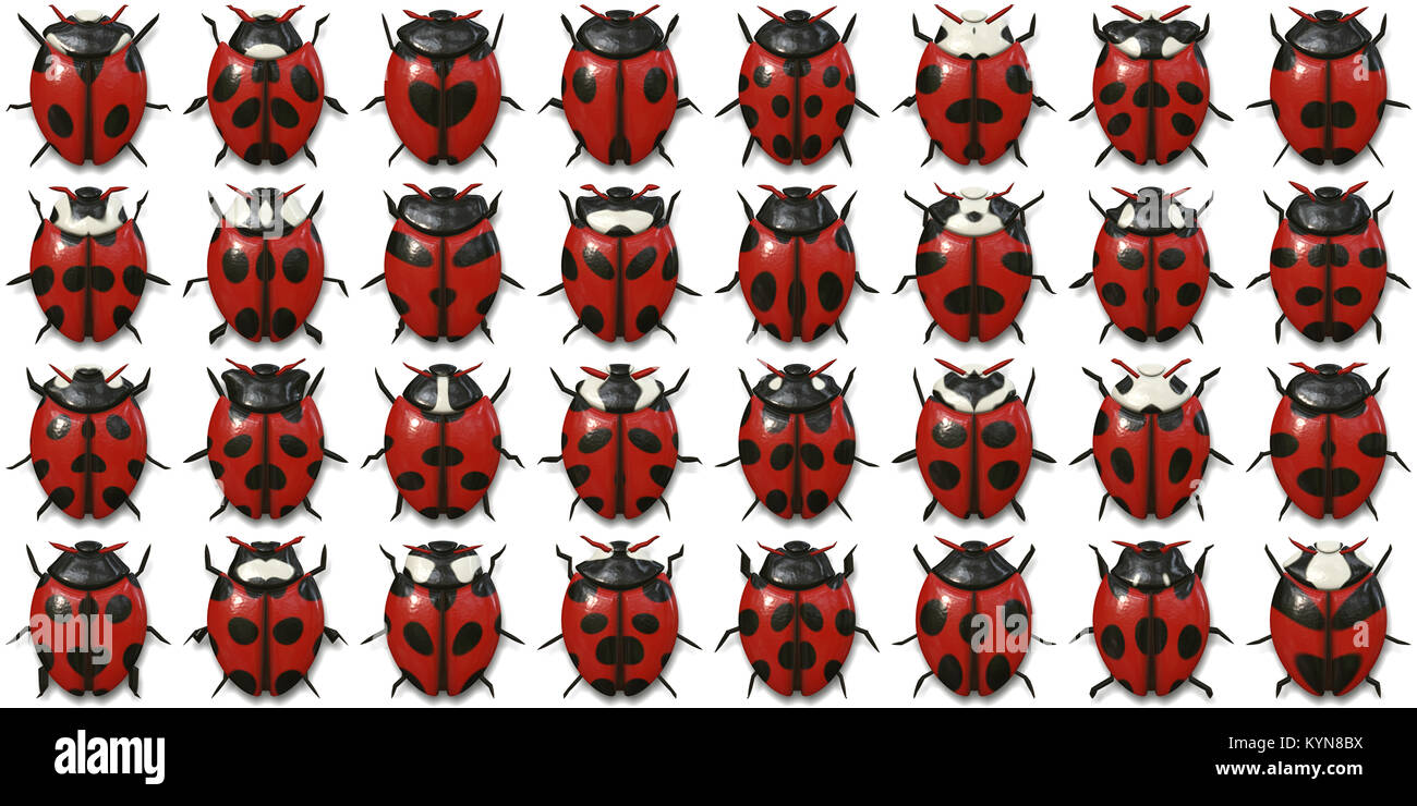 Isolated Beetle Collection Background. Many Bugs Wildlife Surface ...
