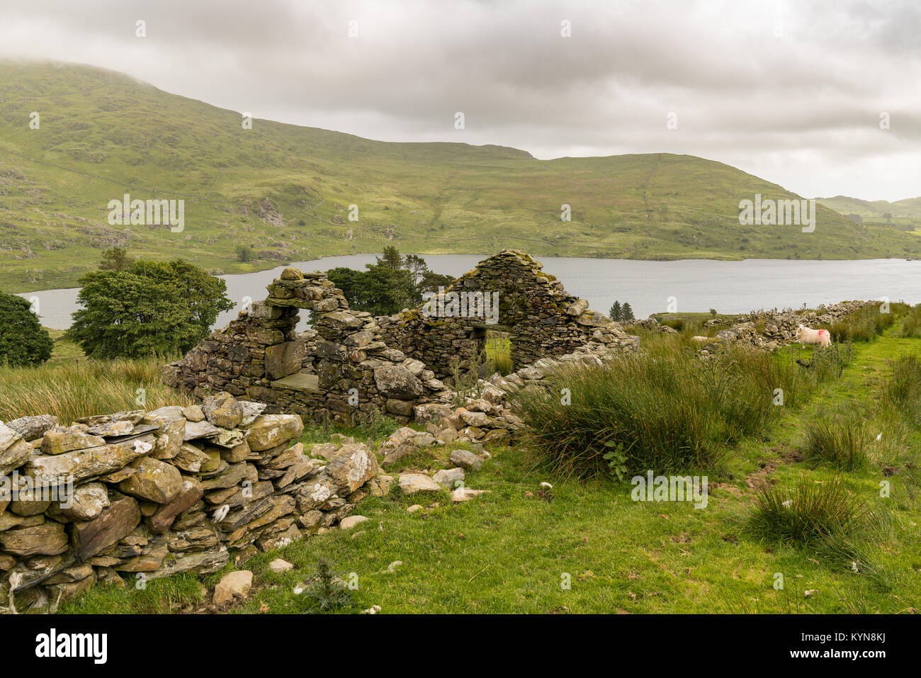 Penmorfa hi-res stock photography and images - Alamy