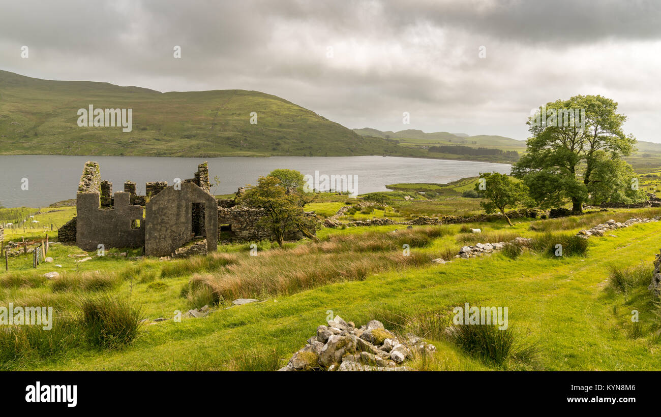 Penmorfa hi-res stock photography and images - Alamy