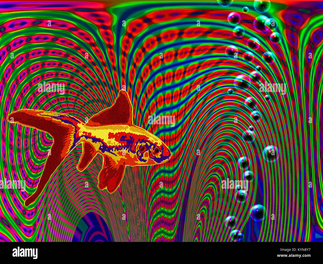 Trippy Fish Hallucinogenic Fish Wikipedia