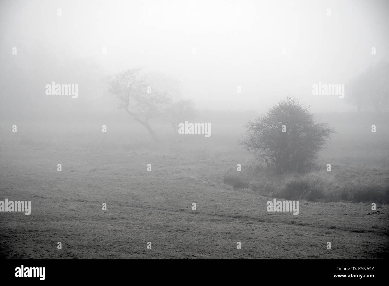 Dense fog england hi-res stock photography and images - Alamy