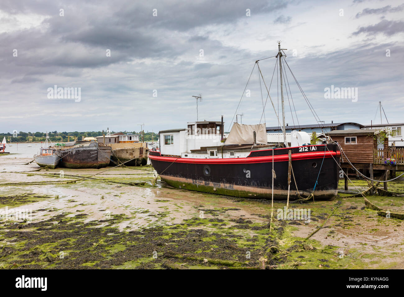 Barges on the mud at low tide on the River Orwell at Pin Mill, Suffolk ...