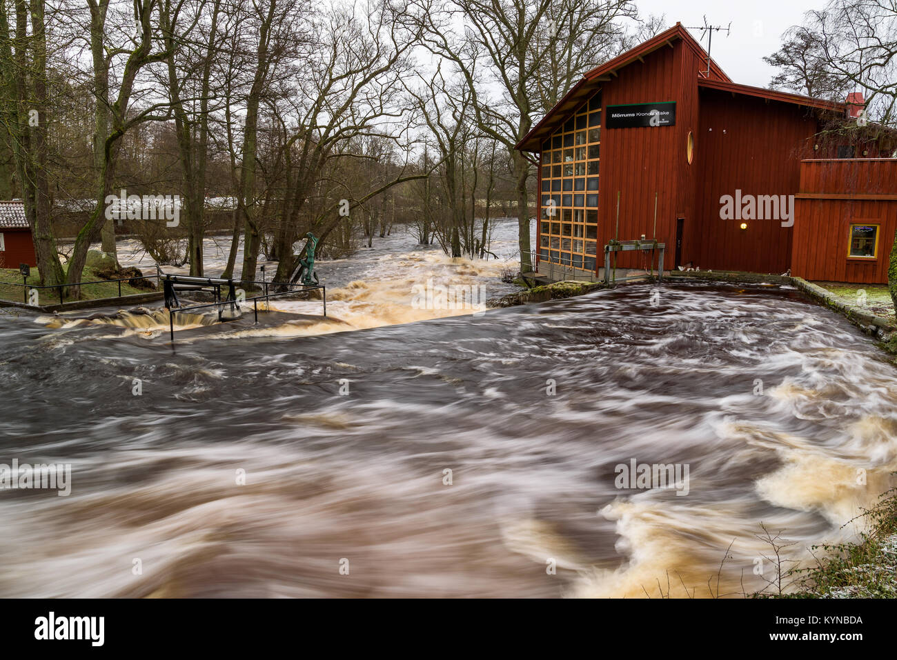 Morrum, Sweden - January 8, 2018: Documentary of everyday life and ...