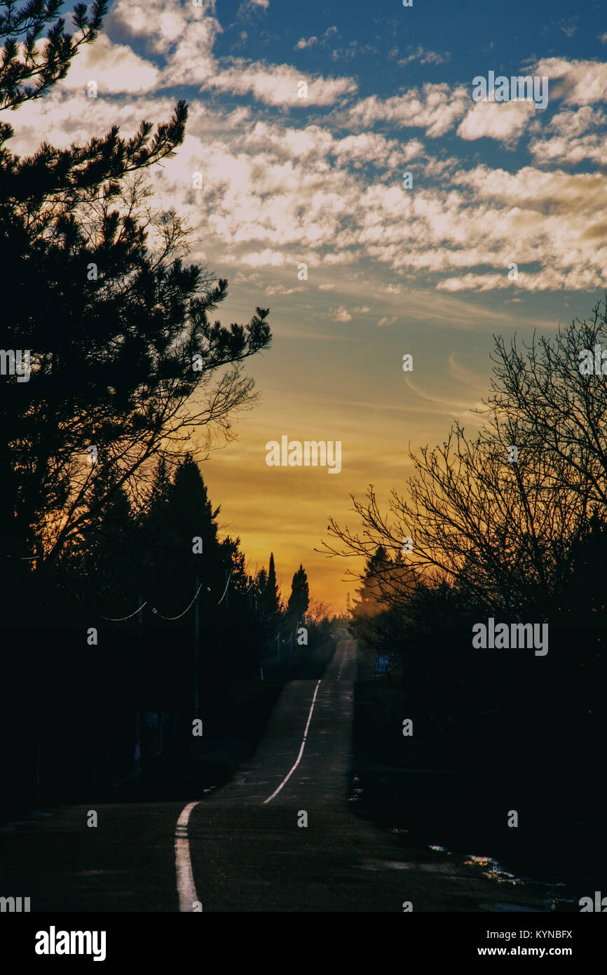 Empty road trees driving hi-res stock photography and images - Alamy