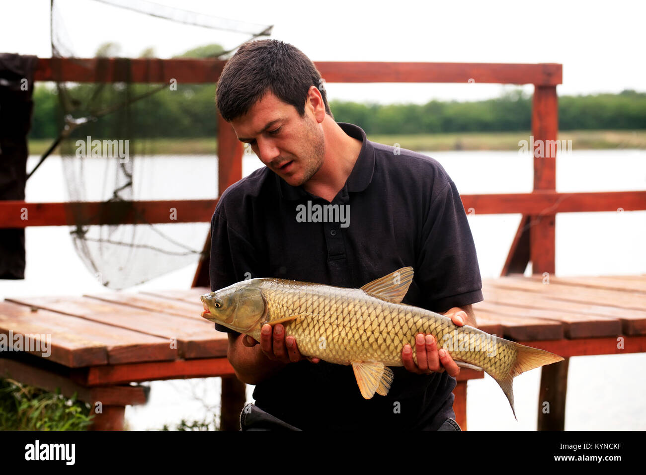 man hold big carp- soft colored green lake background Stock Photo - Alamy