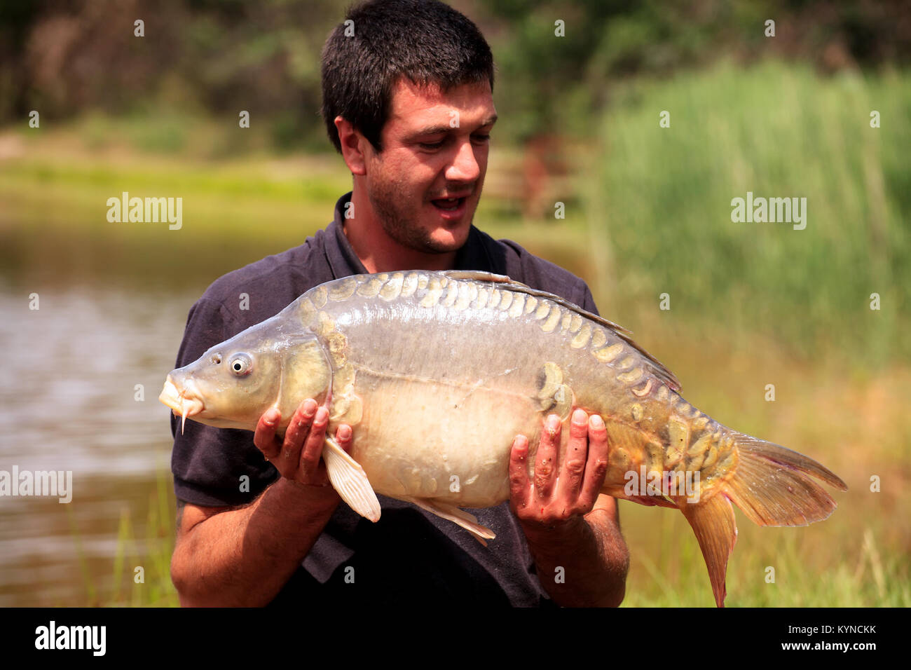 man hold big carp- soft colored green lake background Stock Photo - Alamy