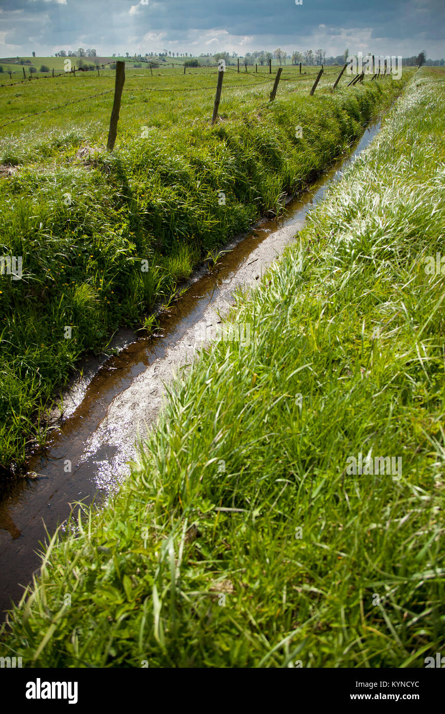 drainage ditch on meadow or rural landscape Stock Photo - Alamy