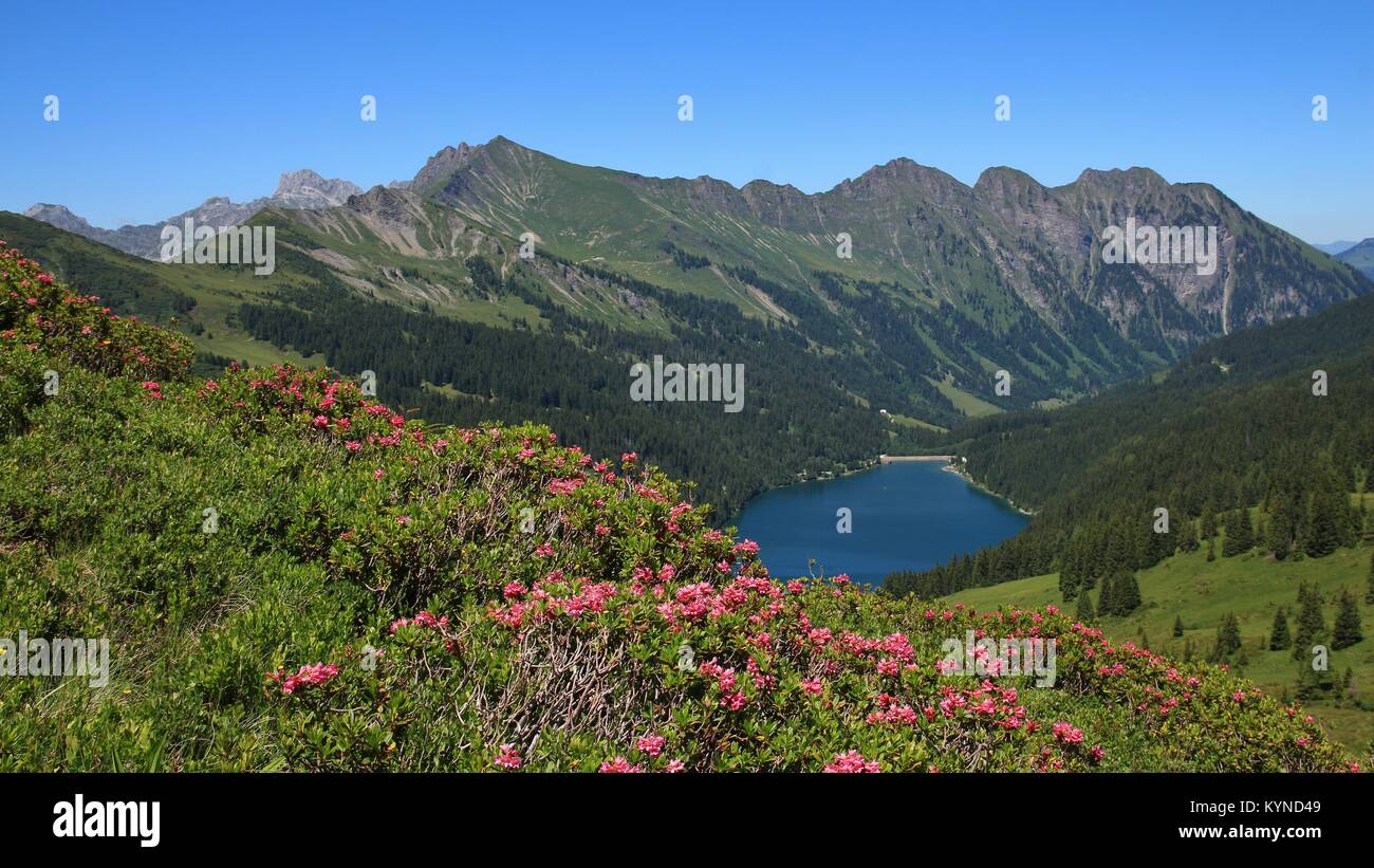Summer day near Gstaad, Switzerland. Idyllic landscape Stock Photo - Alamy