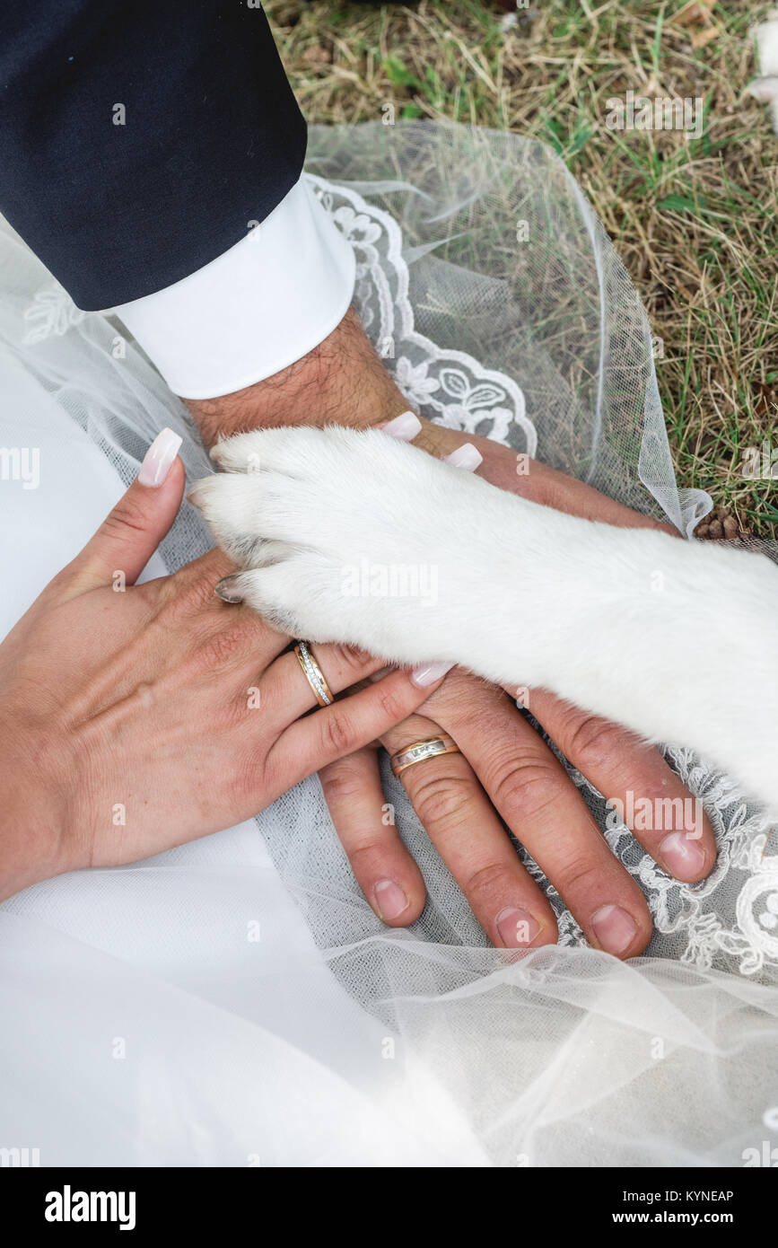 Grooms rings hi-res stock photography and images - Alamy