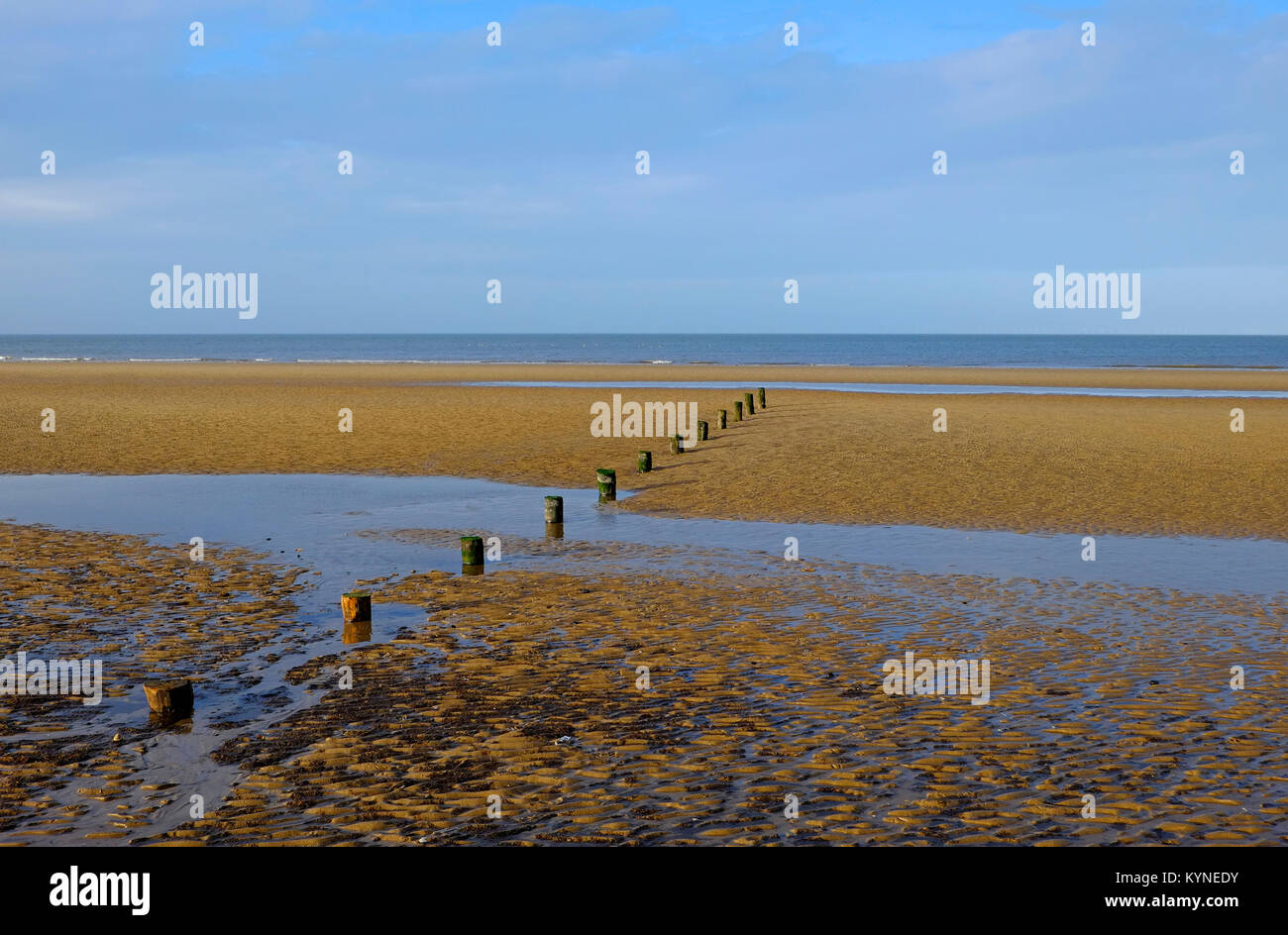 Holme nature reserve norfolk hi-res stock photography and images - Alamy