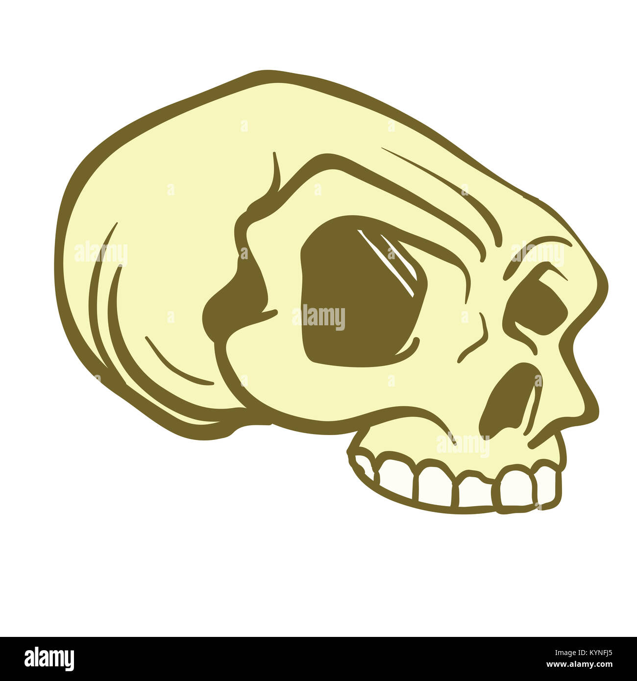 skull cartoon illustration isolated on white Stock Photo - Alamy