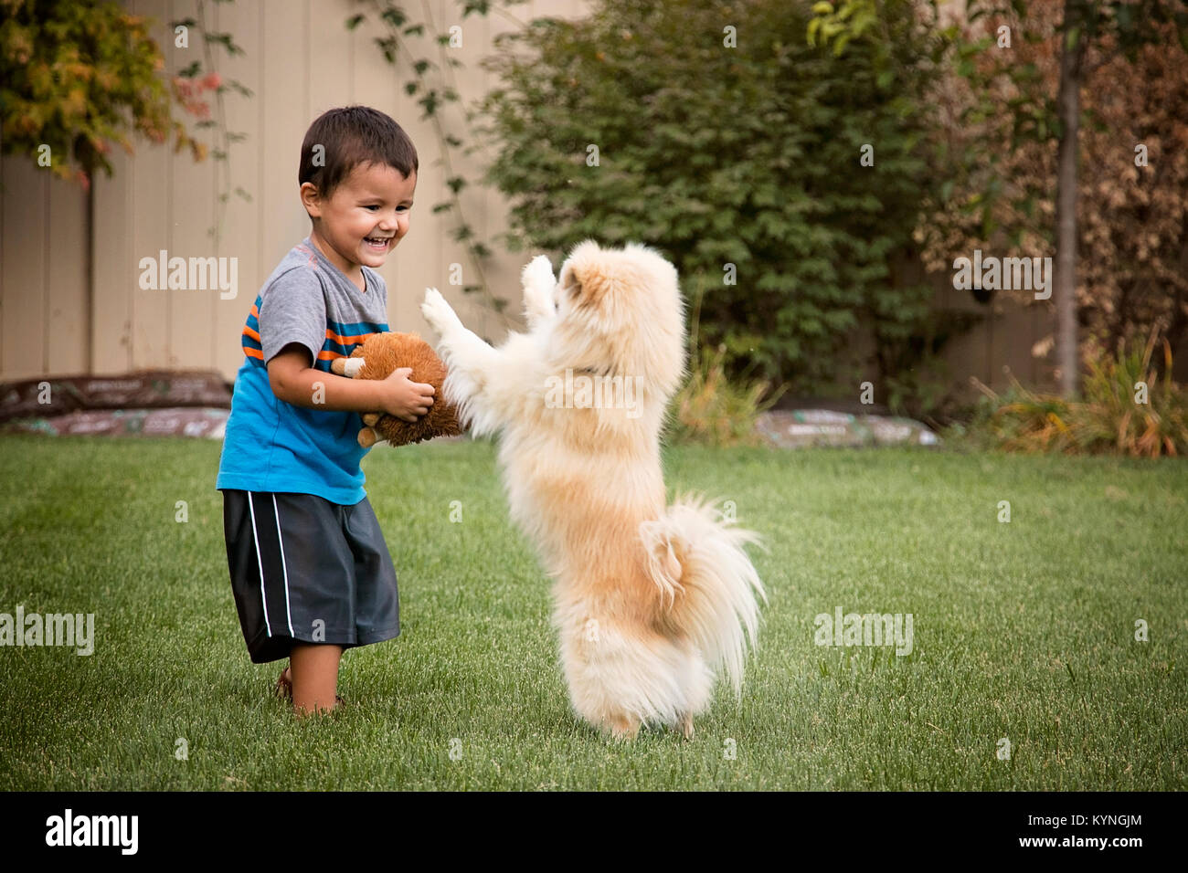 Boy Playing with Dog in Backyard Stock Photo - Alamy