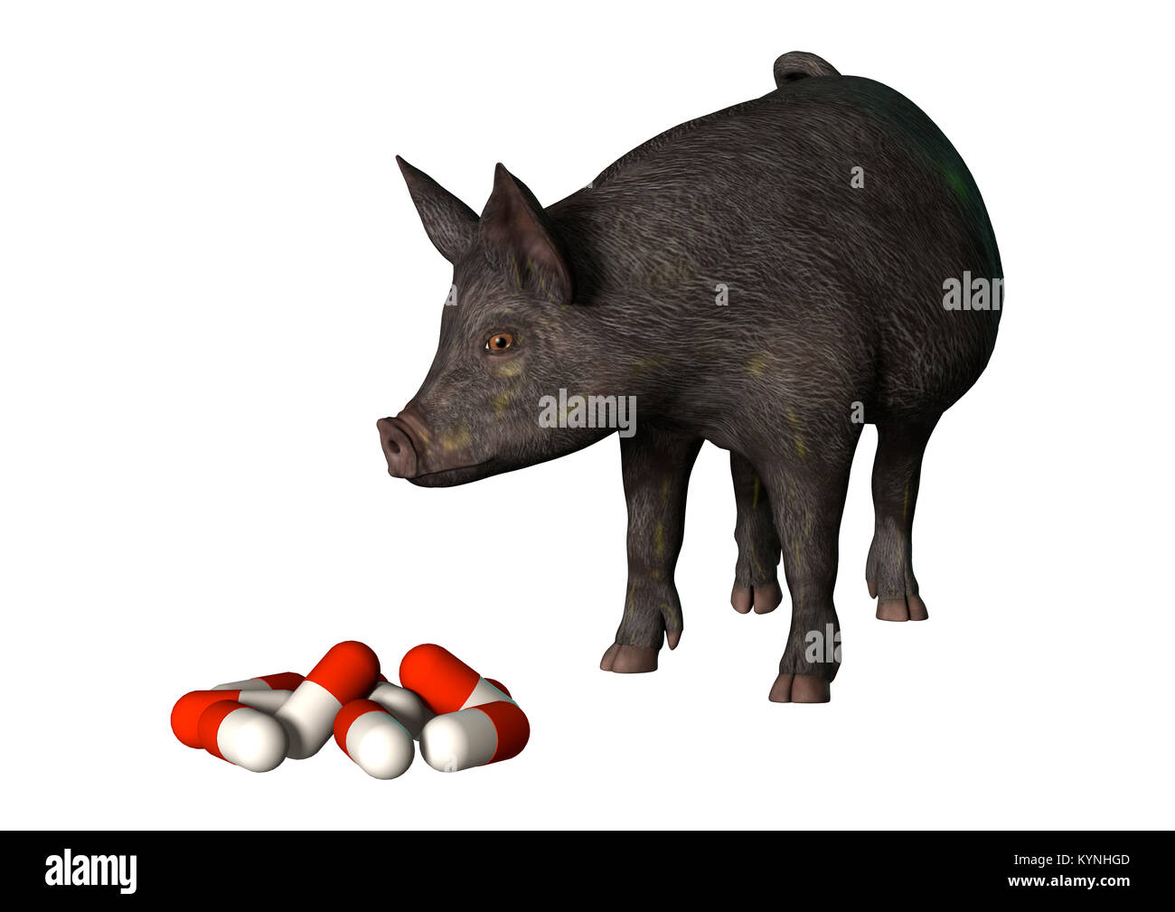 3D rendering of a dark pig looking at pills isolated on white ...