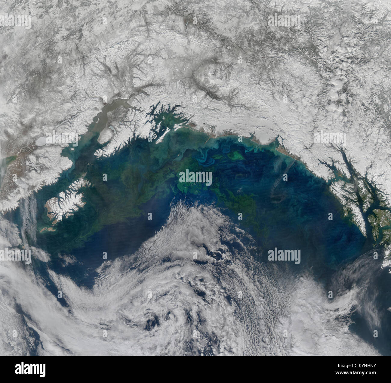 The Gulf of Alaska is a large body of water off the southern coast of ...