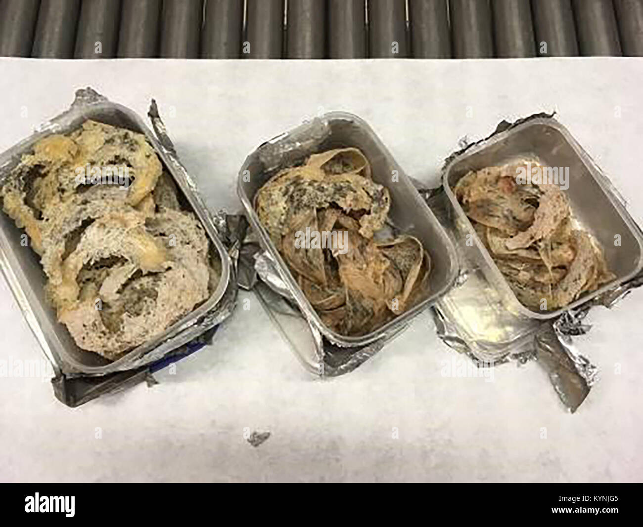 DALLAS – U.S. Customs and Border Protection (CBP) agriculture ...