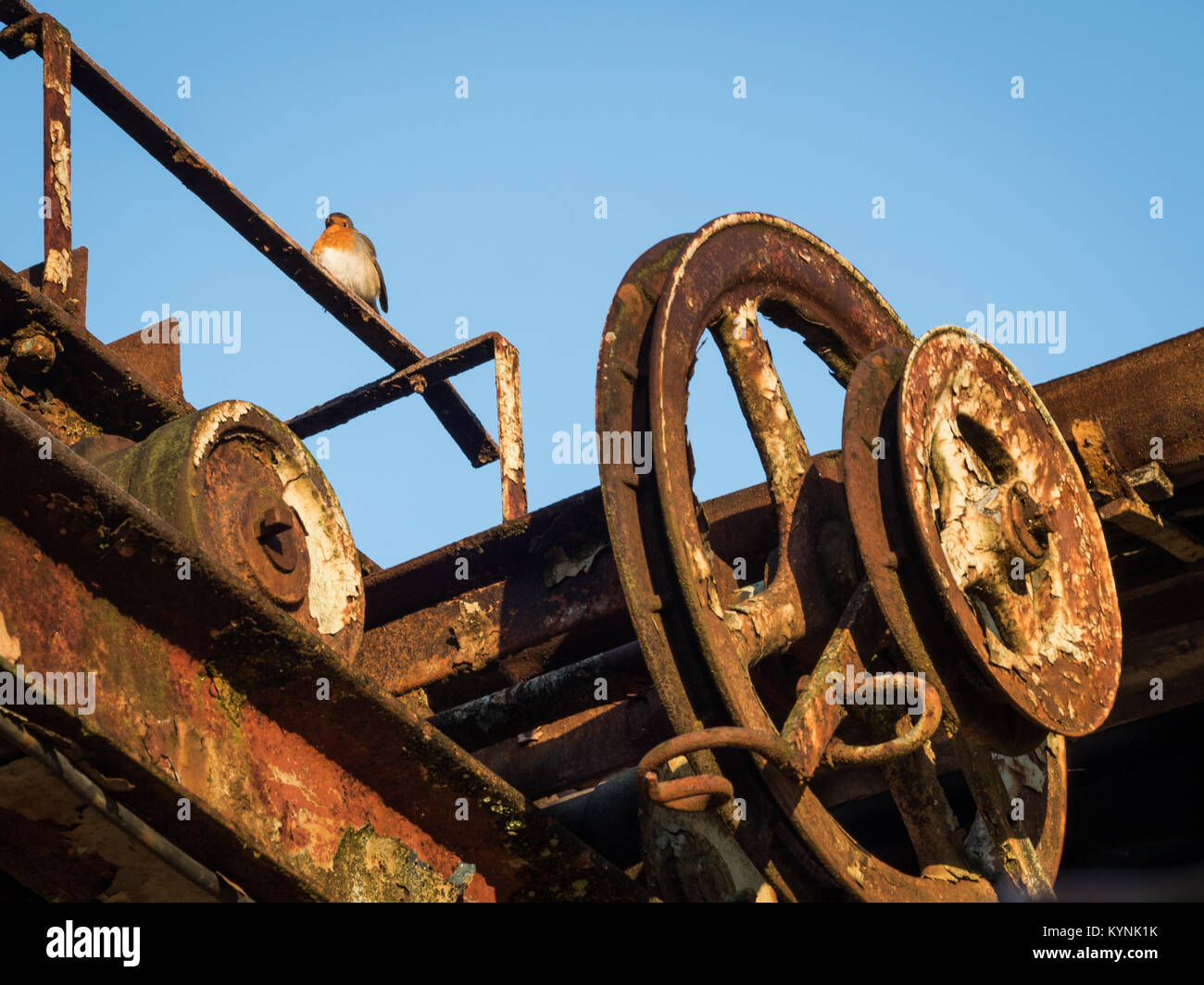 Robin sat on rusty old pulley against blue sky Stock Photo - Alamy