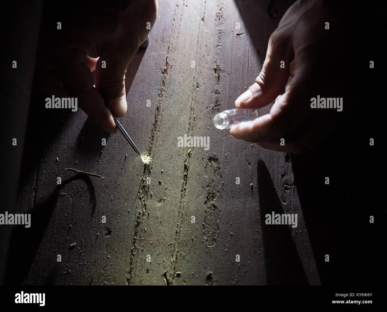 Invasive species inspection hi-res stock photography and images - Alamy