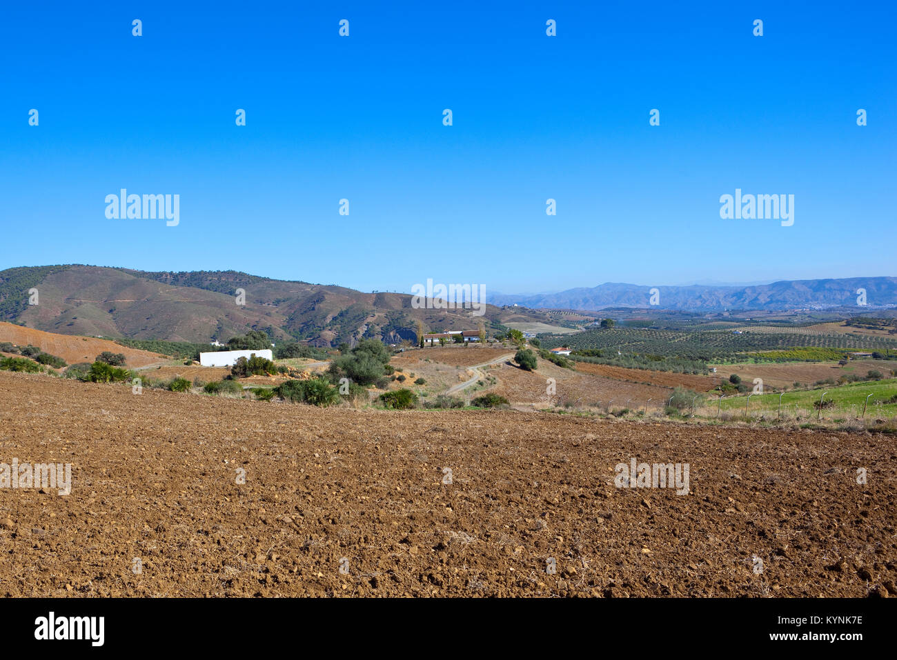 dry and arid spanish farming landscape with plowed fields and olive ...