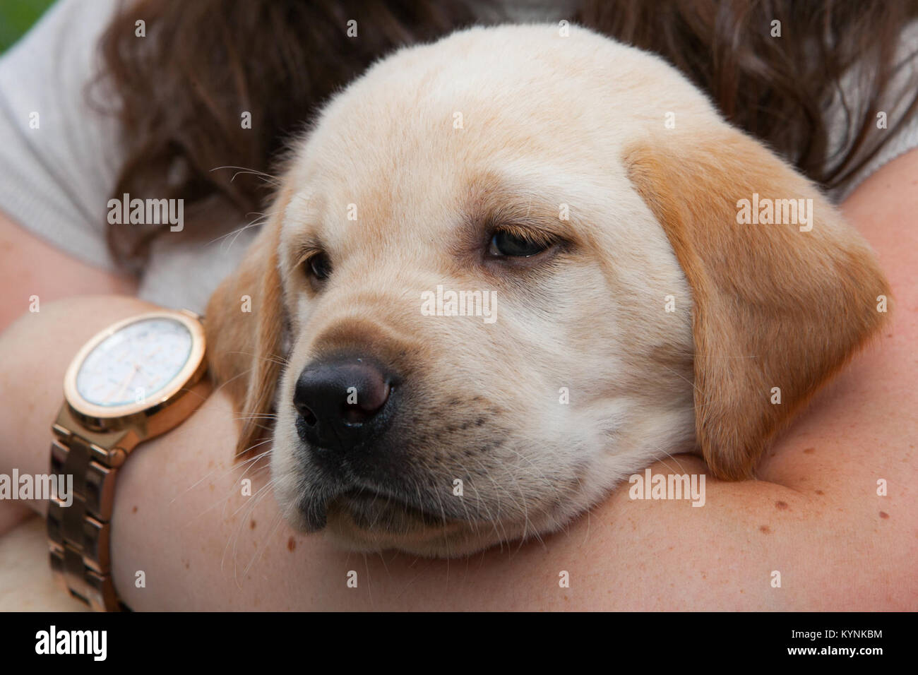 U.S. Customs and Border Protection officials visited the Canine Center ...