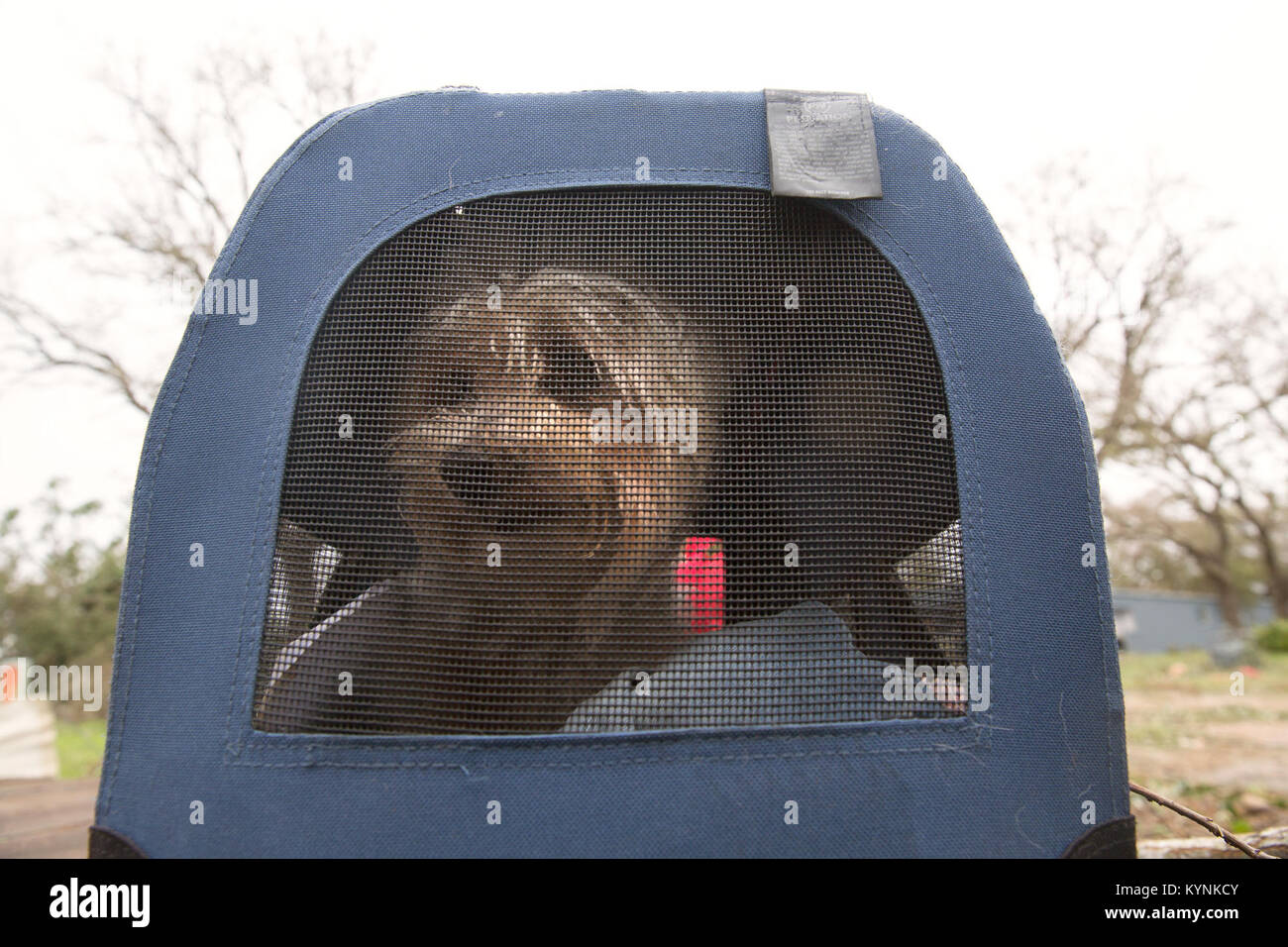 Chester border hi-res stock photography and images - Alamy
