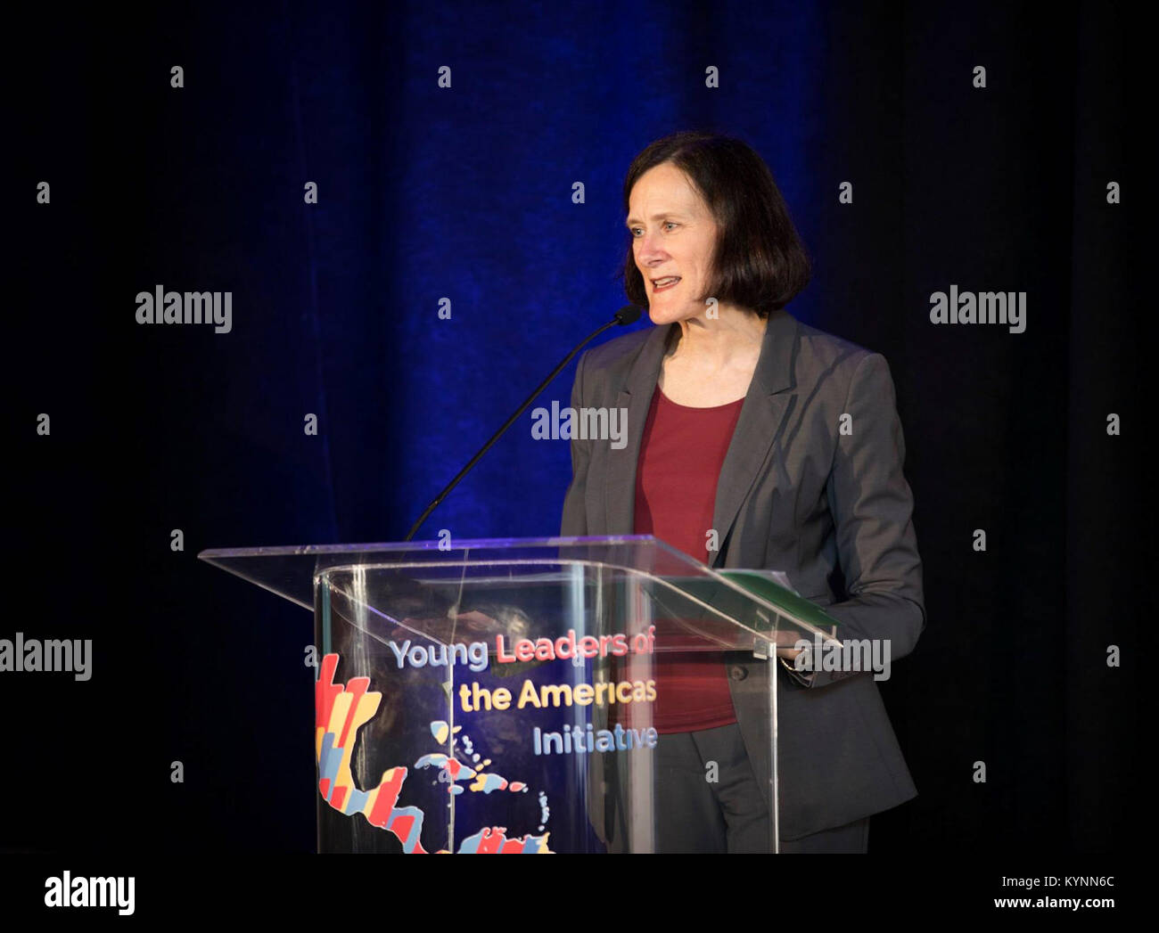 On November 7, 2017, Acting Assistant Secretary of State Alyson Grunder ...