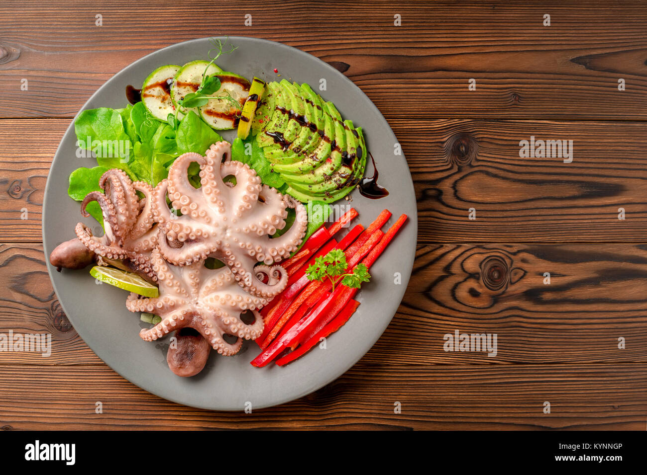 Octopus top view hi-res stock photography and images - Alamy