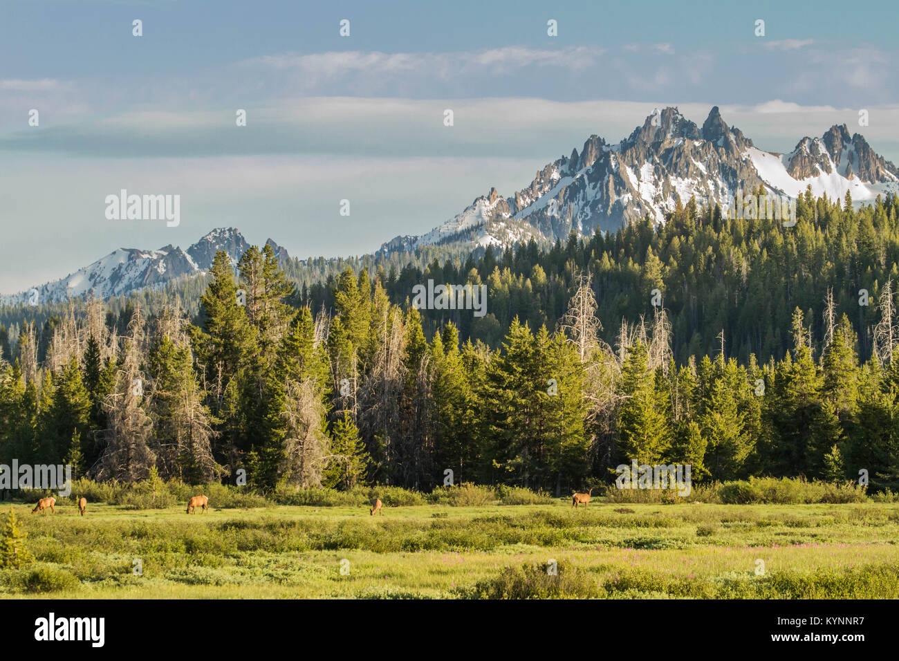 Sawtooth mountains hi-res stock photography and images - Alamy