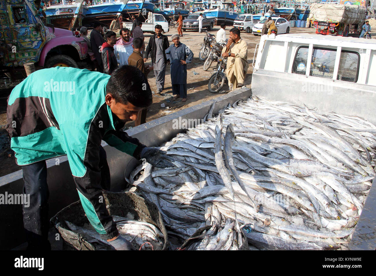 Karachi. 15th Jan, 2018. A man loads fish on a vehicle in southern ...