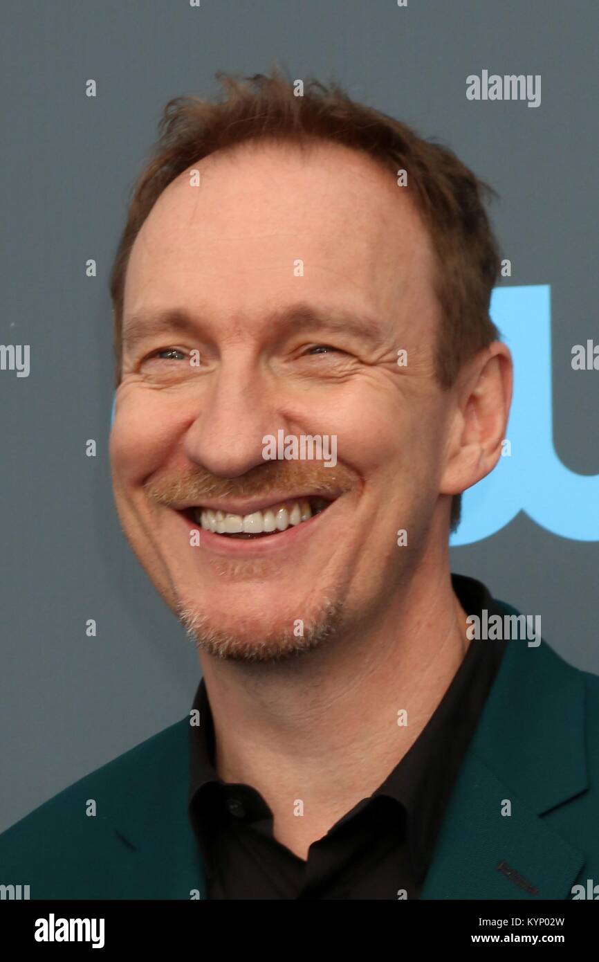 Santa Monica, CA. 11th Jan, 2018. David Thewlis at arrivals for The ...