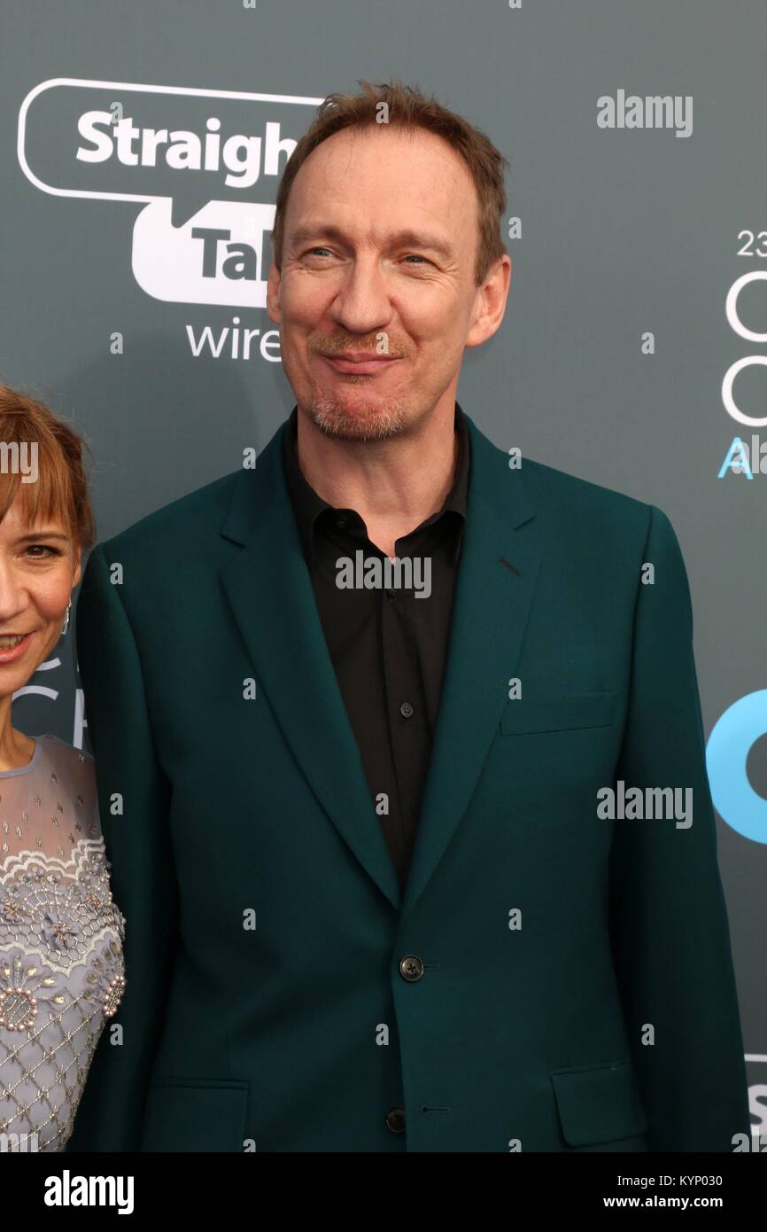 Santa Monica, CA. 11th Jan, 2018. David Thewlis at arrivals for The ...